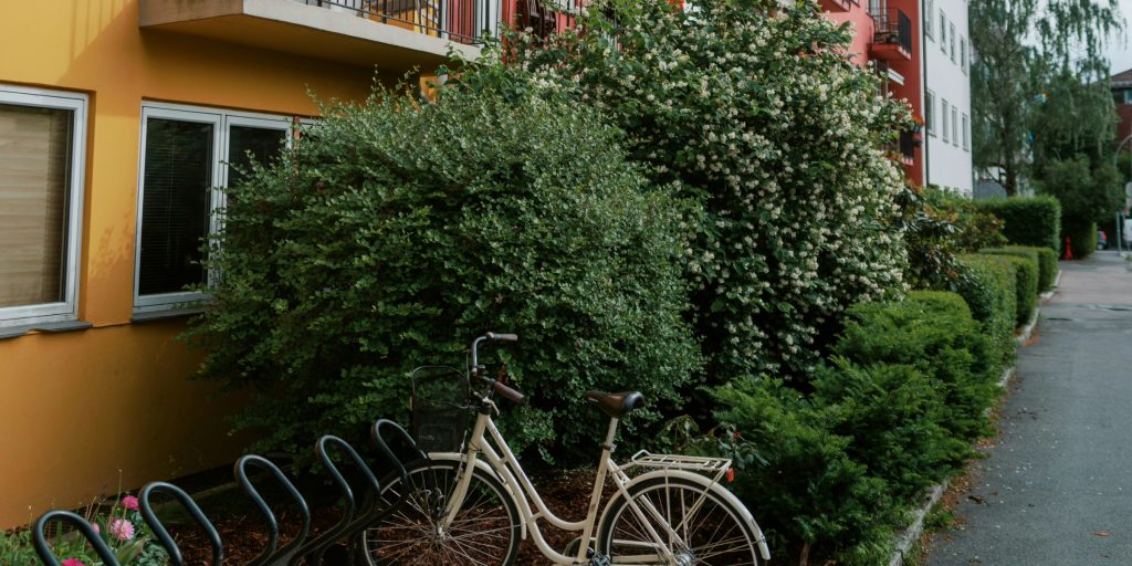 Når de rike flytter inn, må de fattige ut. Eller? - BOVEL